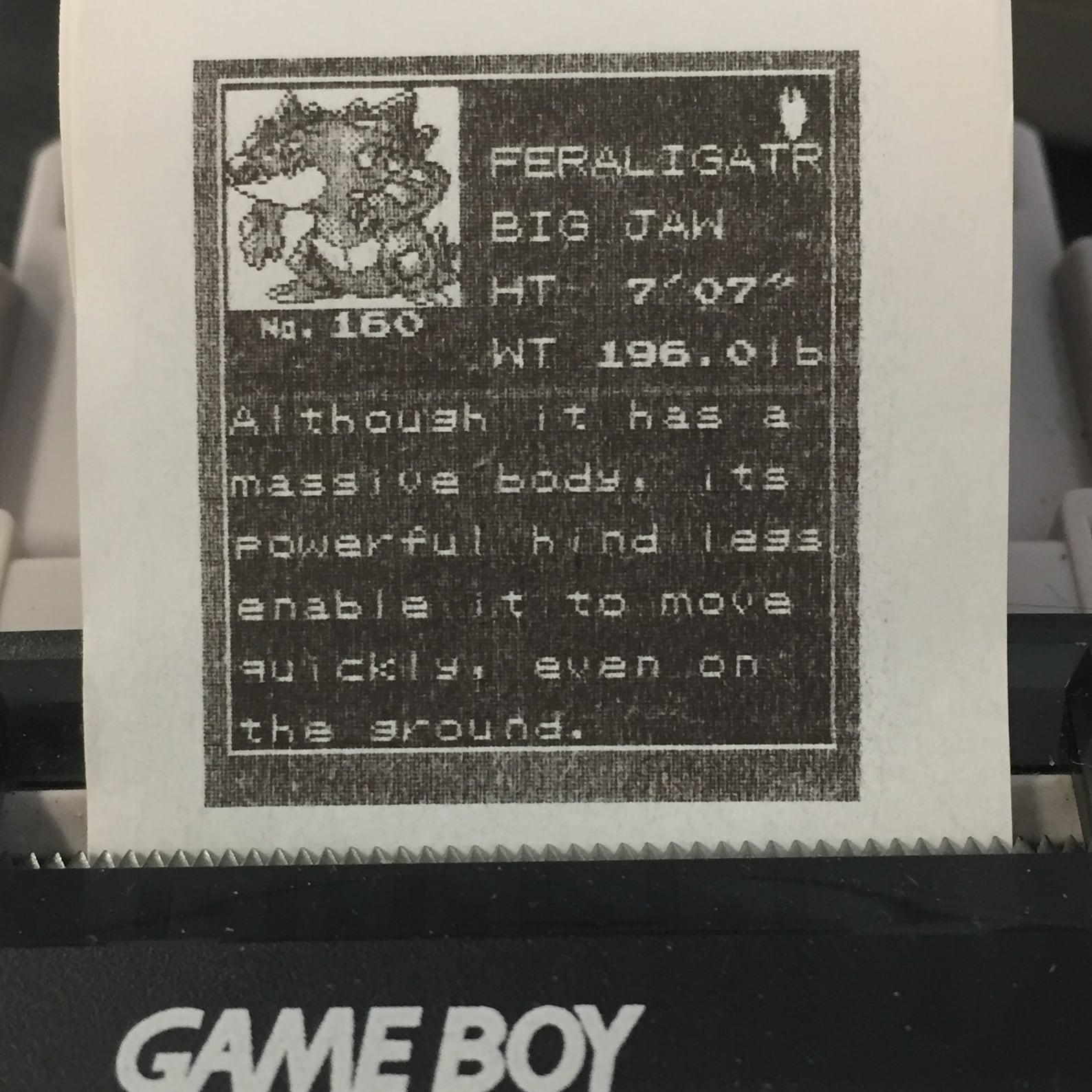 Diploma & Pokédex Profiles (152-219) From Generation 2 Pokemon - Gold ...
