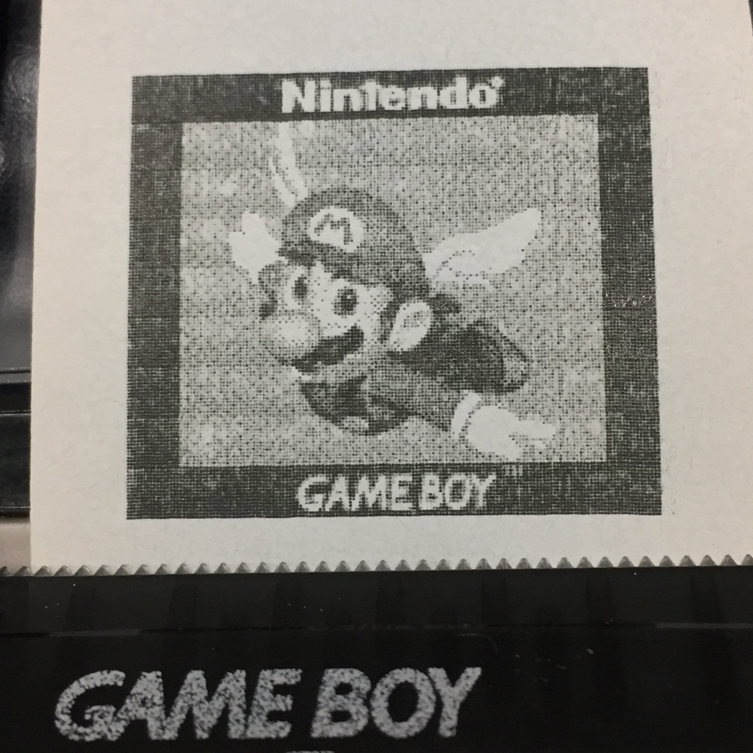 Nintendo Game Boy Camera Secret Photos Album B, Game Boy Printer - Etsy