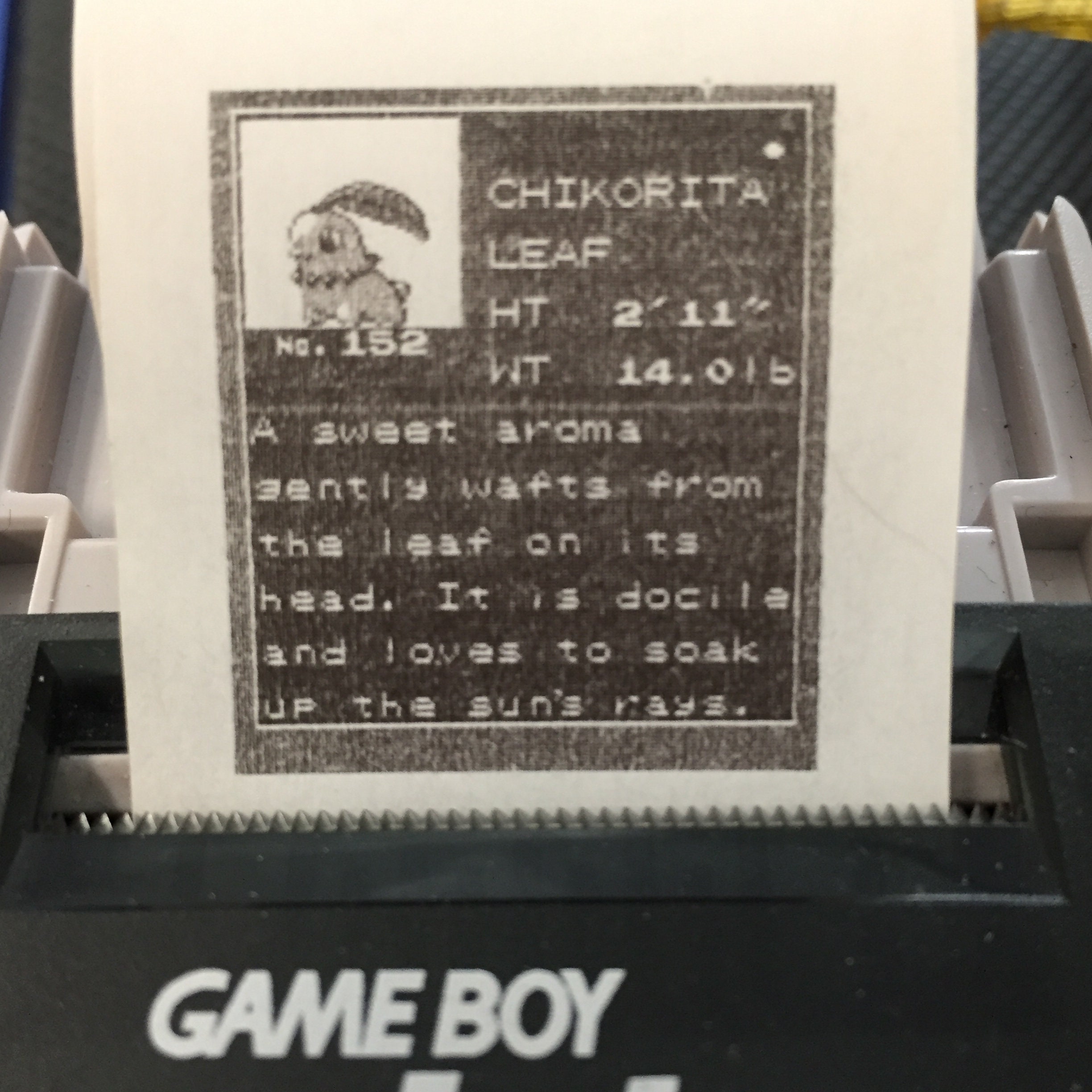 Diploma & Pokédex Profiles (152-219) From Generation 2 Pokemon - Gold ...