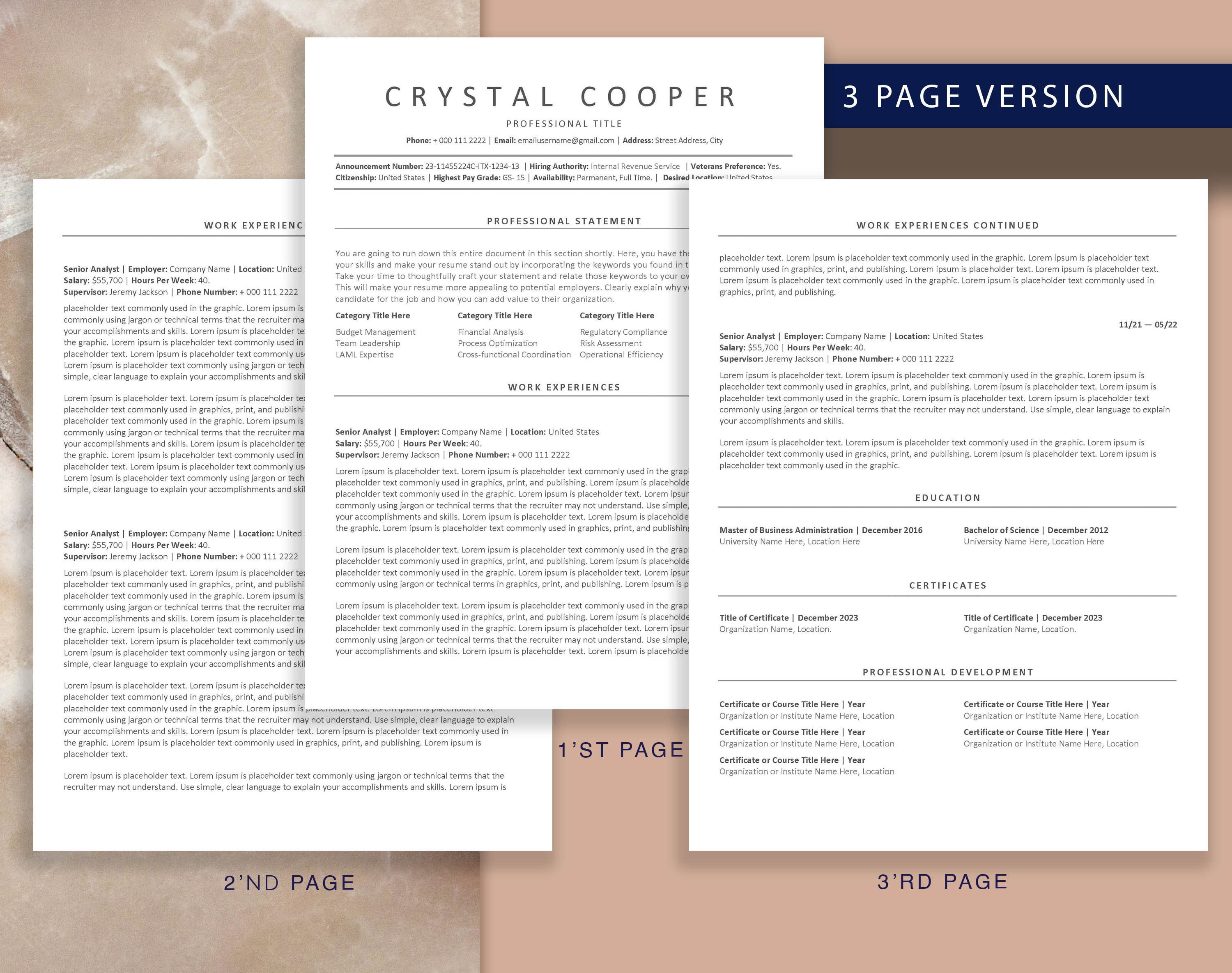 Resume Template ATS, Federal Resume USA Jobs, ATS Friendly Resume ...