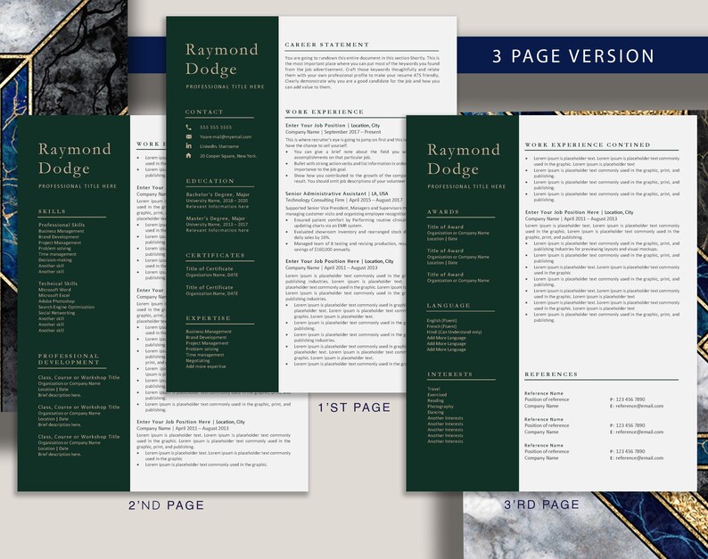 Modern Resume Template Pages Word Professional CV Template - Etsy