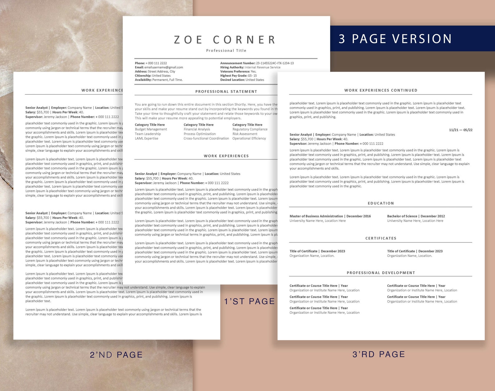 Federal Resume Templates, ATS Resume Template Google Docs, Word, Pages ...