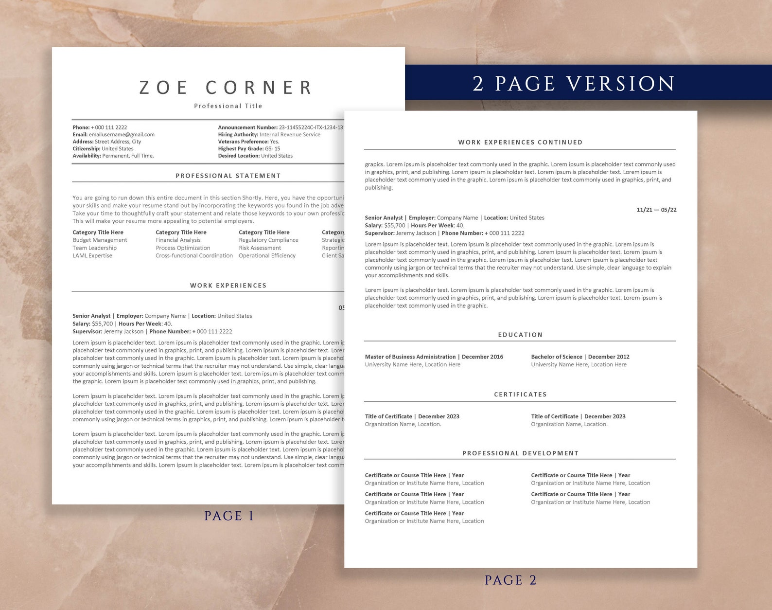 Federal Resume Templates, ATS Resume Template Google Docs, Word, Pages ...