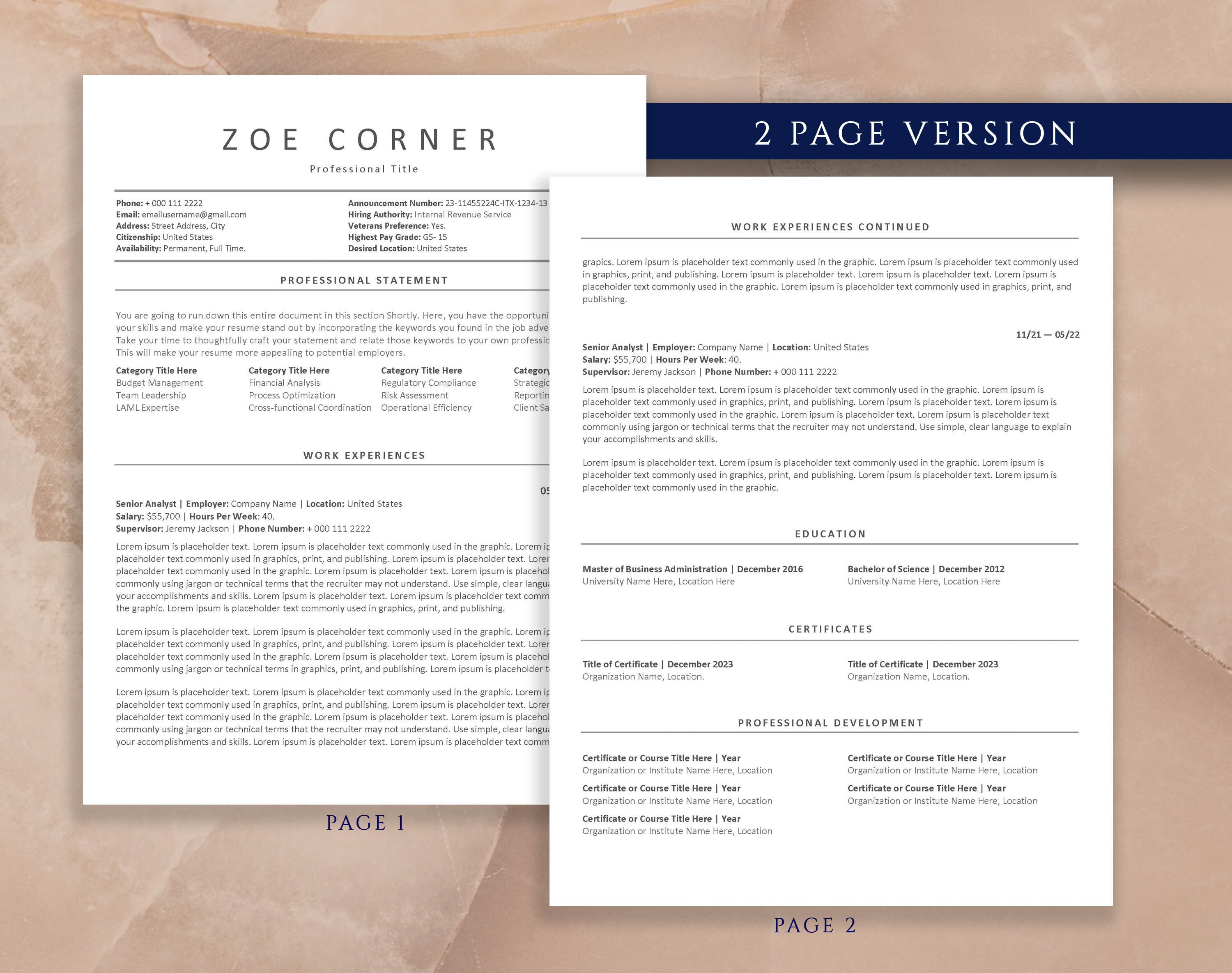 Federal Resume Templates, ATS Resume Template Google Docs, Word, Pages ...