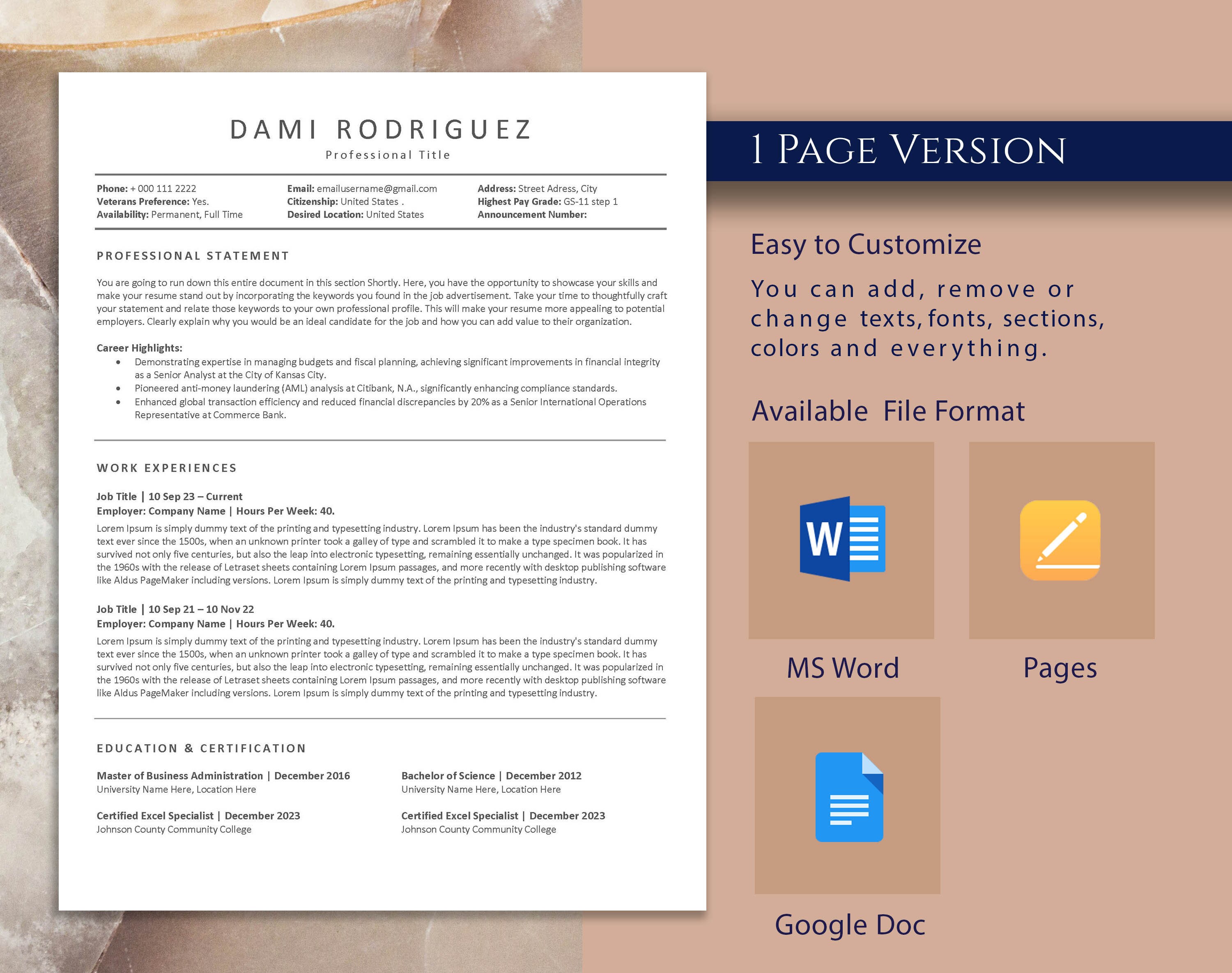 Federal Resume Template Professional, ATS Resume Template Word, Pages ...