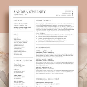 One Page Resume Template, Simple Clean Professional Resume Word Pages ...