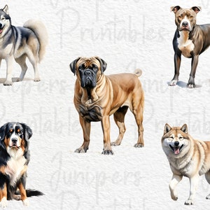 Watercolor Dog Breeds Vol. 4 Clipart Bundle, 20 High Quality PNG ...