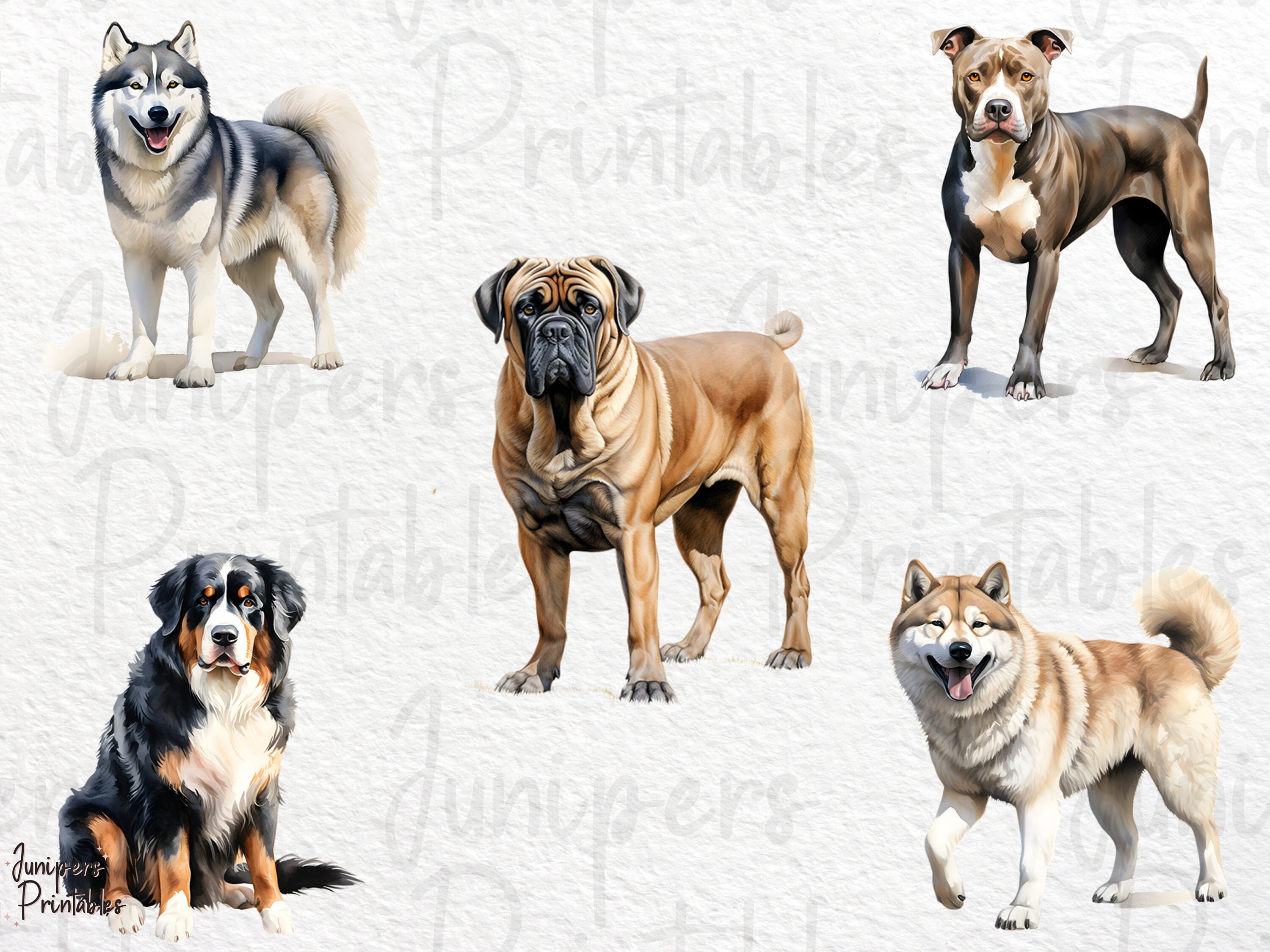 Watercolor Dog Breeds Vol. 4 Clipart Bundle, 20 High Quality PNG ...