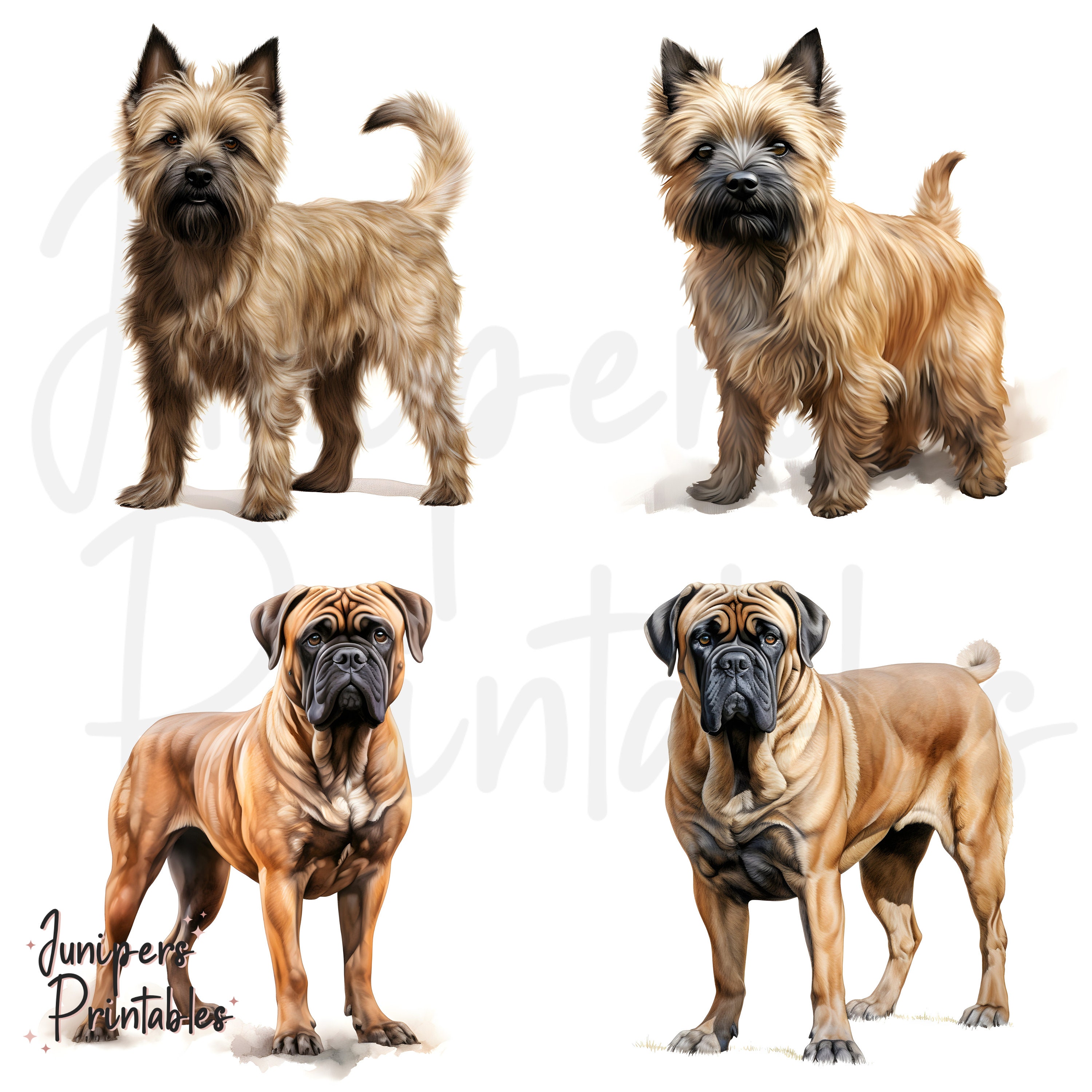 Watercolor Dog Breeds Vol. 4 Clipart Bundle, 20 High Quality Jpgs ...