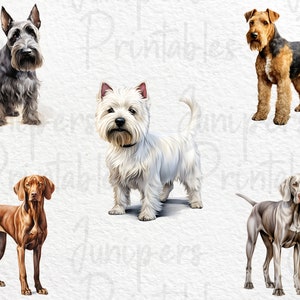 Watercolor Dog Breeds Vol. 5 Clipart Bundle, 20 High Quality PNG ...