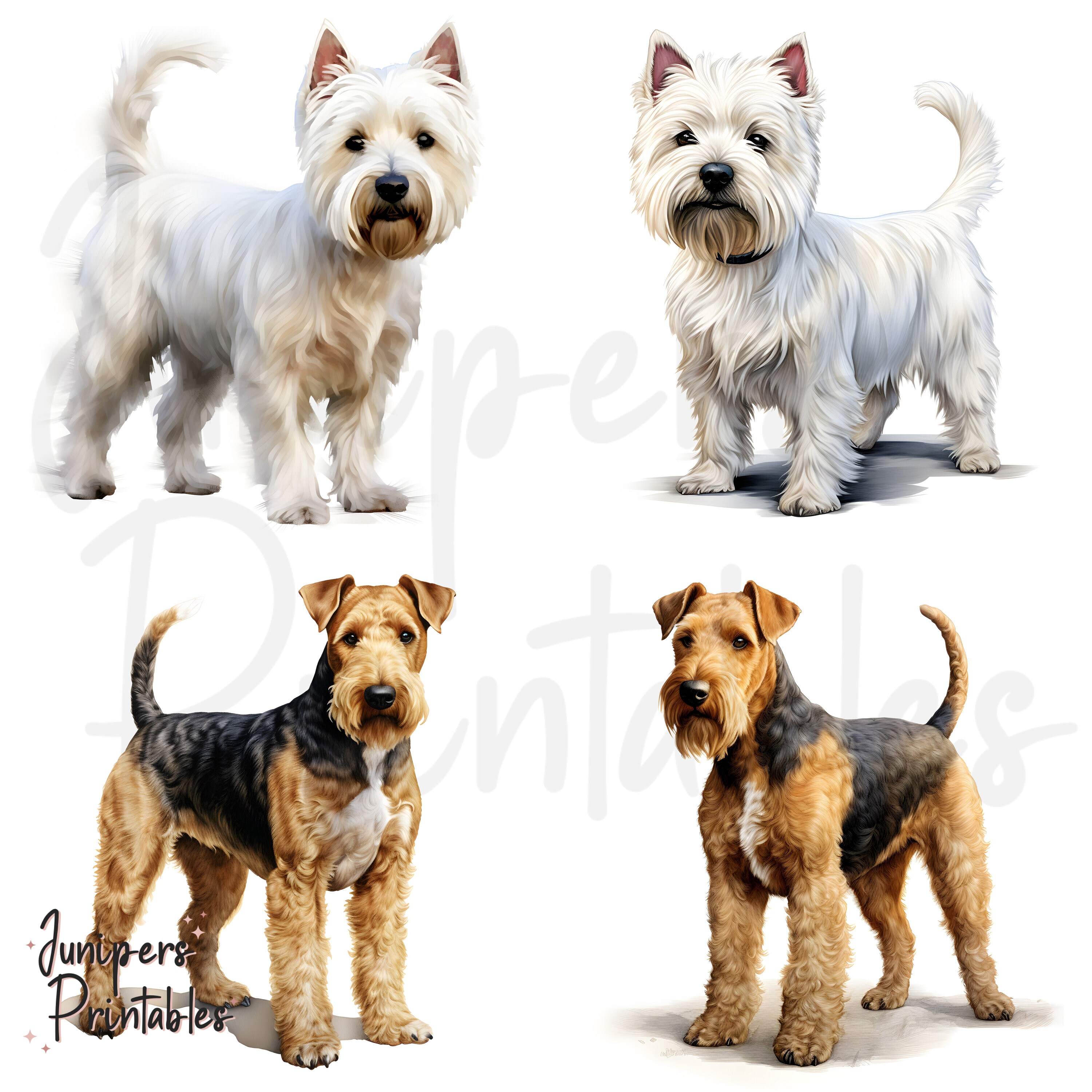 Watercolor Dog Breeds Vol. 5 Clipart Bundle, 20 High Quality Jpgs, Instant Digital Download, Dog ...