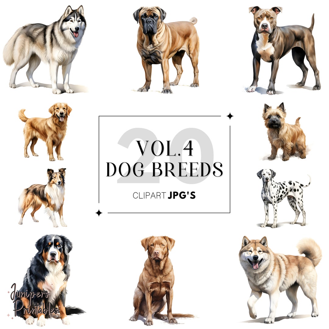 Watercolor Dog Breeds Vol. 4 Clipart Bundle, 20 High Quality Jpgs ...
