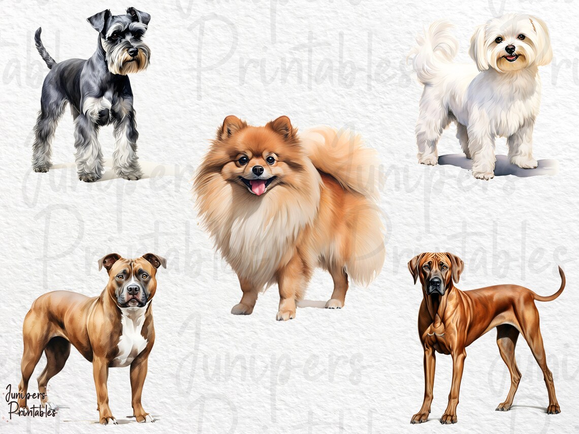 Watercolor Dog Breeds Vol. 3 Clipart Bundle, 20 High Quality PNG ...