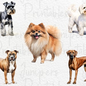 Watercolor Dog Breeds Vol. 3 Clipart Bundle, 20 High Quality PNG ...