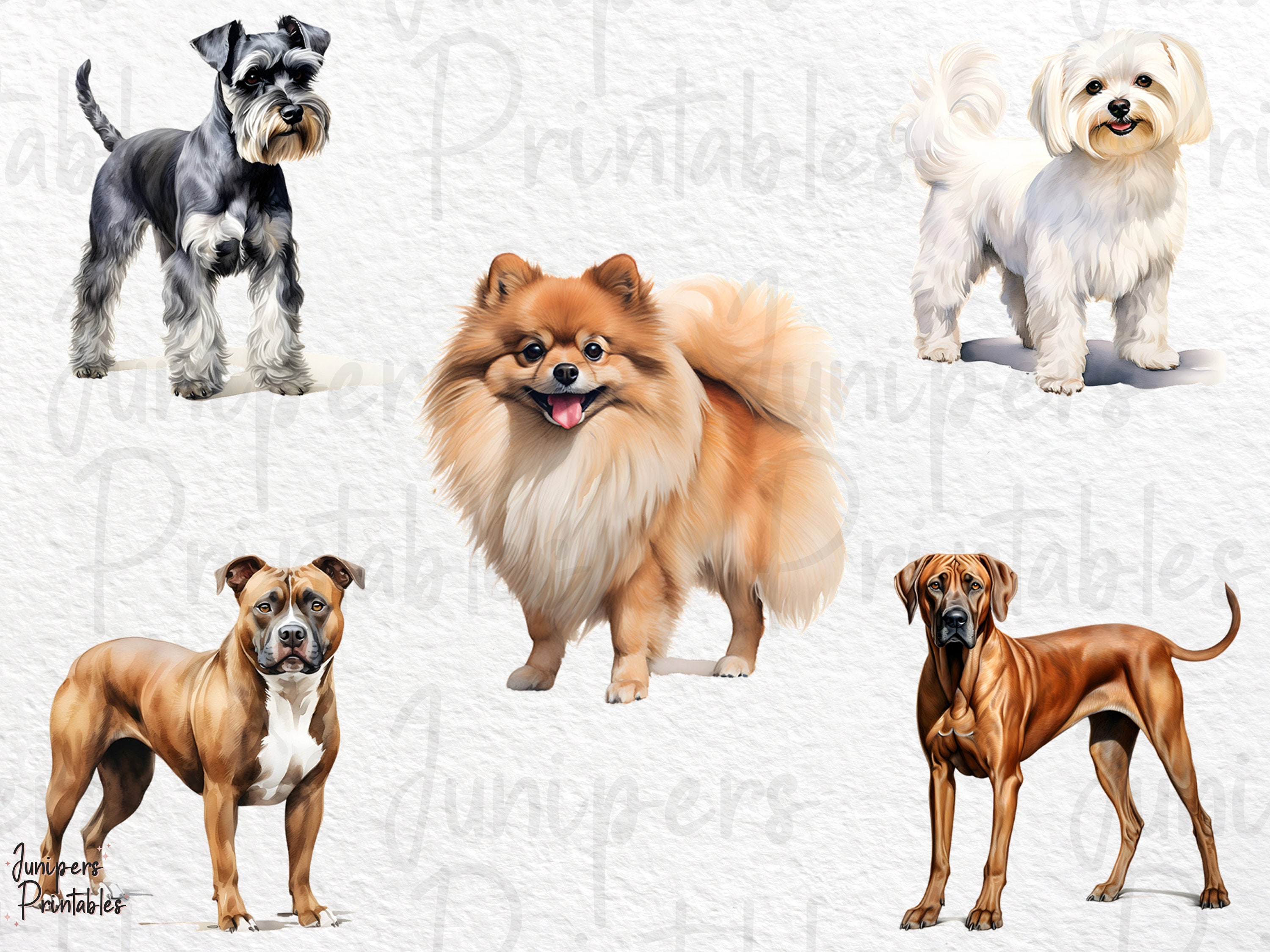 Watercolor Dog Breeds Vol. 3 Clipart Bundle, 20 High Quality PNG ...