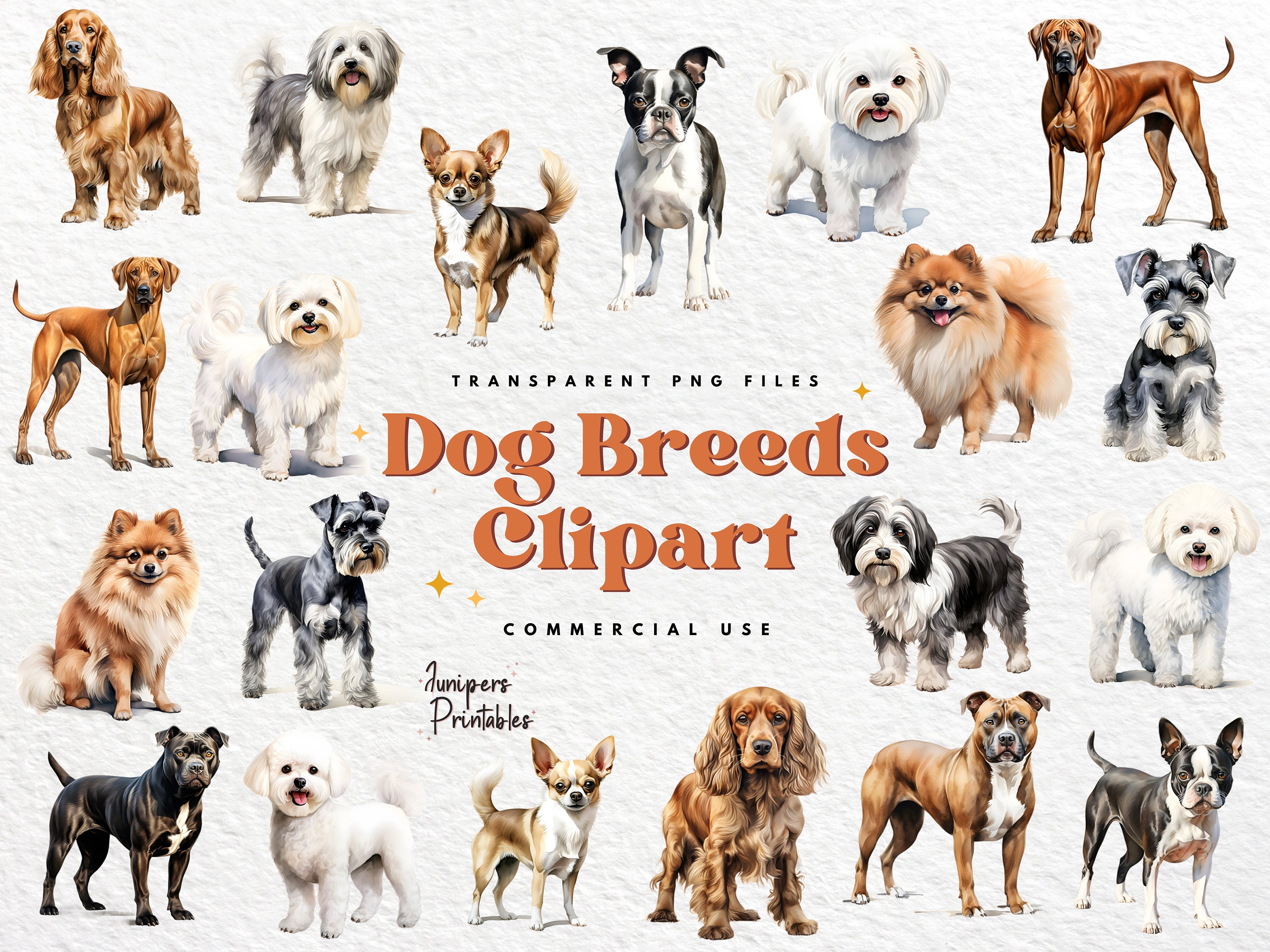 Watercolor Dog Breeds Vol. 3 Clipart Bundle, 20 High Quality PNG ...