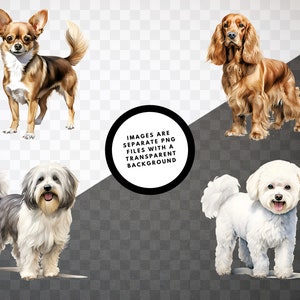 Watercolor Dog Breeds Vol. 3 Clipart Bundle, 20 High Quality PNG ...
