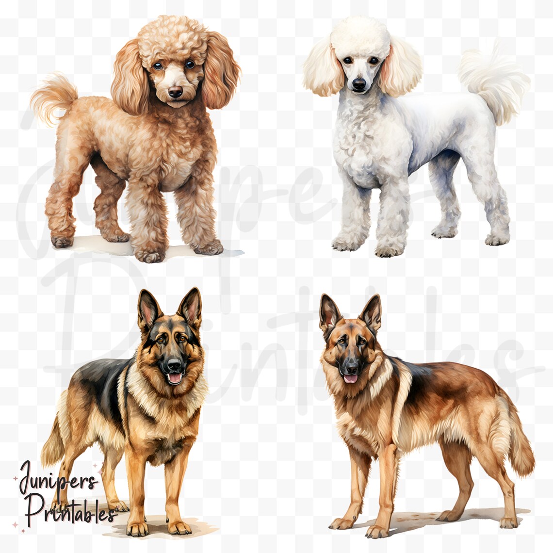 Watercolor Dog Breeds Vol. 1 Clipart Bundle 20 High Quality - Etsy