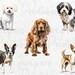 Watercolor Dog Breeds Vol. 3 Clipart Bundle, 20 High Quality PNG ...