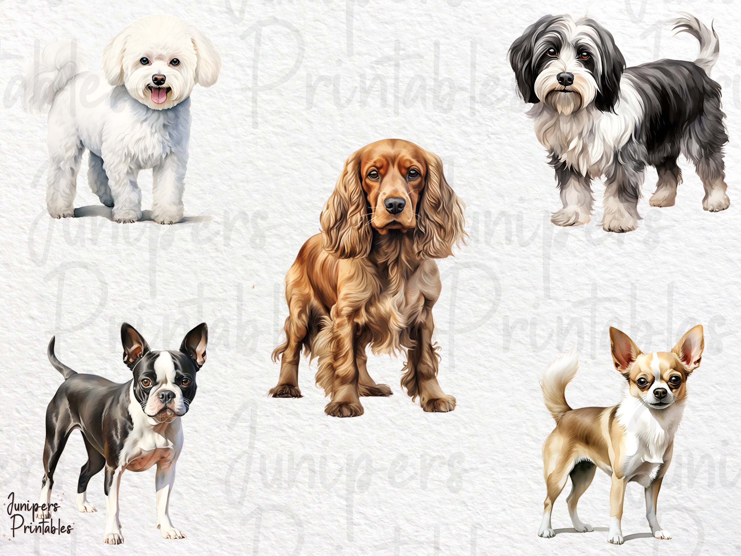 Watercolor Dog Breeds Vol. 3 Clipart Bundle, 20 High Quality PNG ...