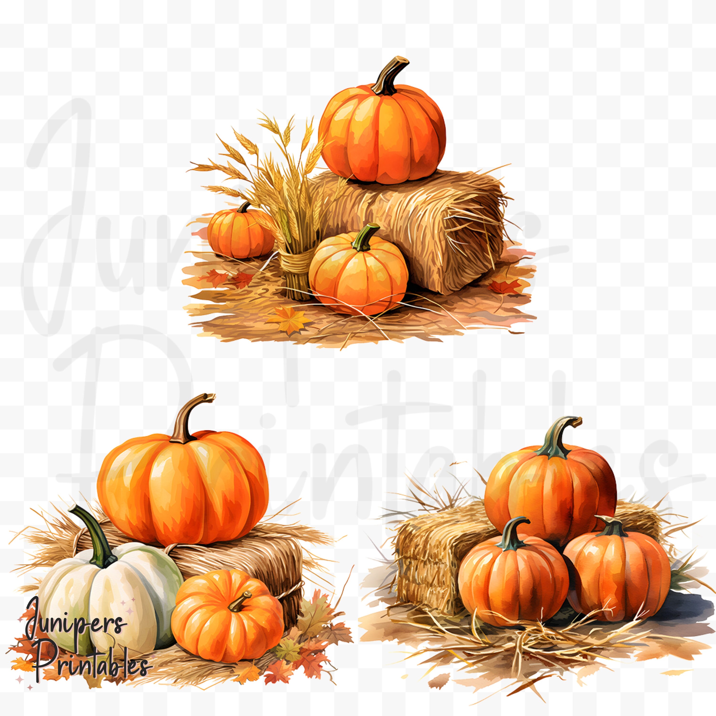 15 Fall Pumpkin & Hay Bale Clipart, High Quality Pngs, Digital Download ...