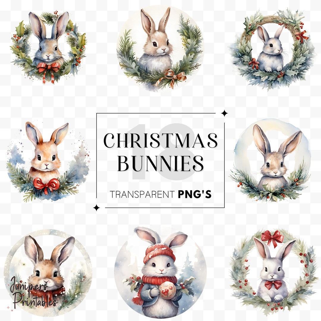 18 Christmas Bunnies Clipart, High Quality Pngs, Digital Download Card ...