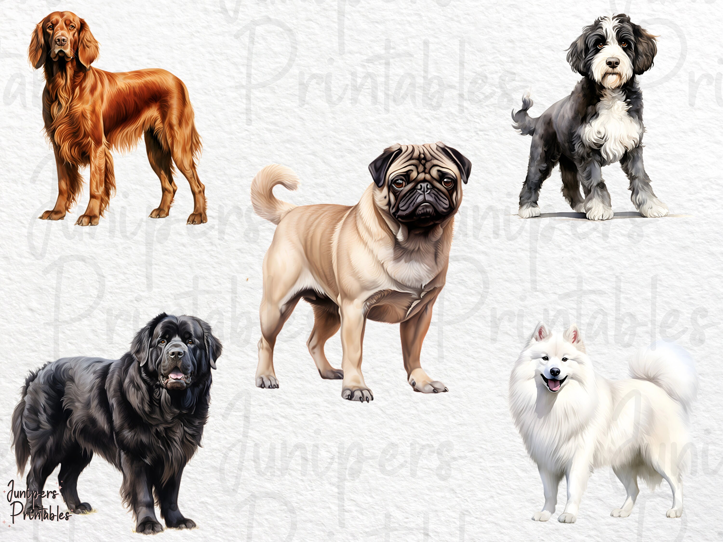 Watercolor Dog Breeds Vol. 5 Clipart Bundle, 20 High Quality PNG ...
