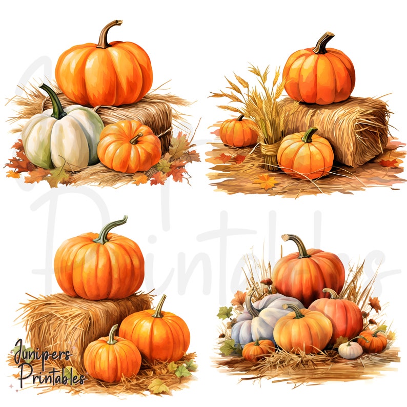 15 Fall Pumpkin & Hay Bale Clipart, High Quality Jpgs, Digital Download ...