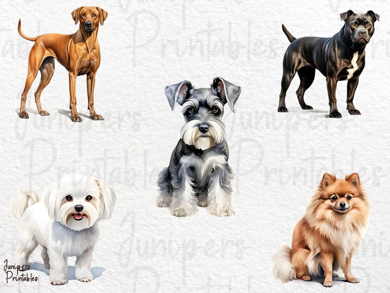 Watercolor Dog Breeds Vol. 3 Clipart Bundle, 20 High Quality PNG ...