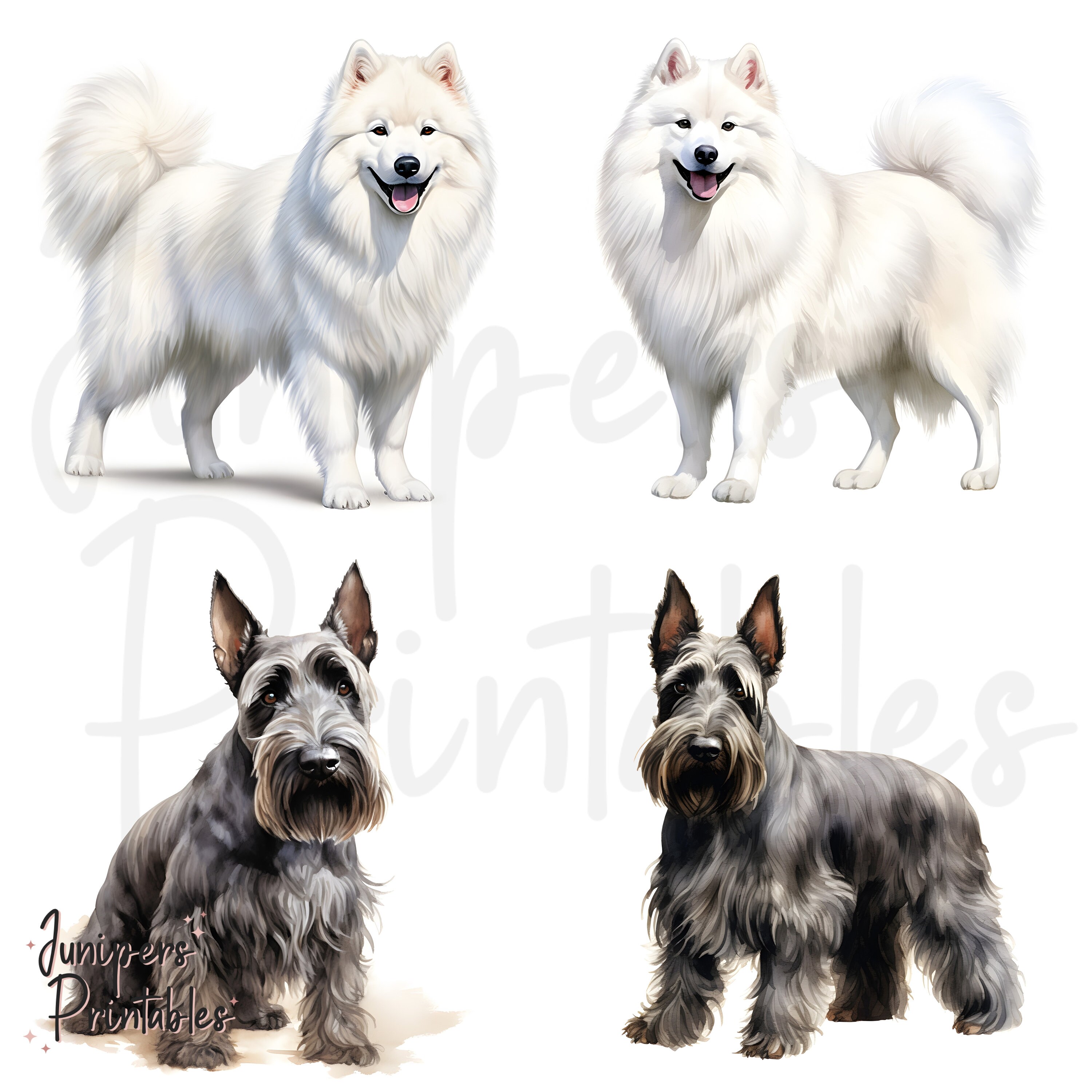 Watercolor Dog Breeds Vol. 5 Clipart Bundle, 20 High Quality Jpgs, Instant Digital Download, Dog ...