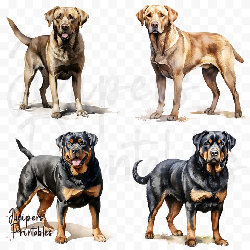Watercolor Dog Breeds Vol. 1 Clipart Bundle 20 High Quality - Etsy