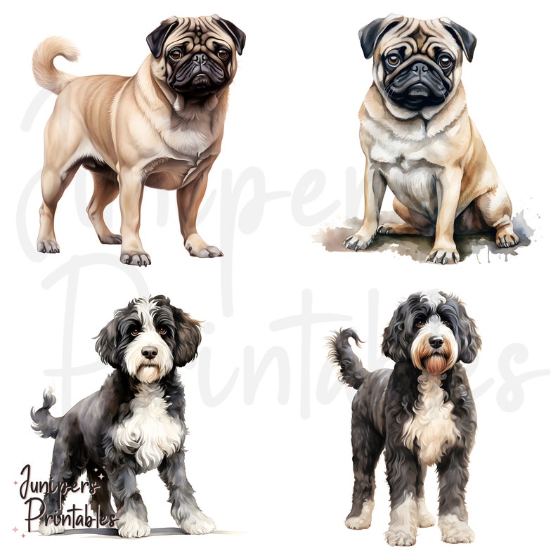 Watercolor Dog Breeds Vol. 5 Clipart Bundle, 20 High Quality Jpgs ...