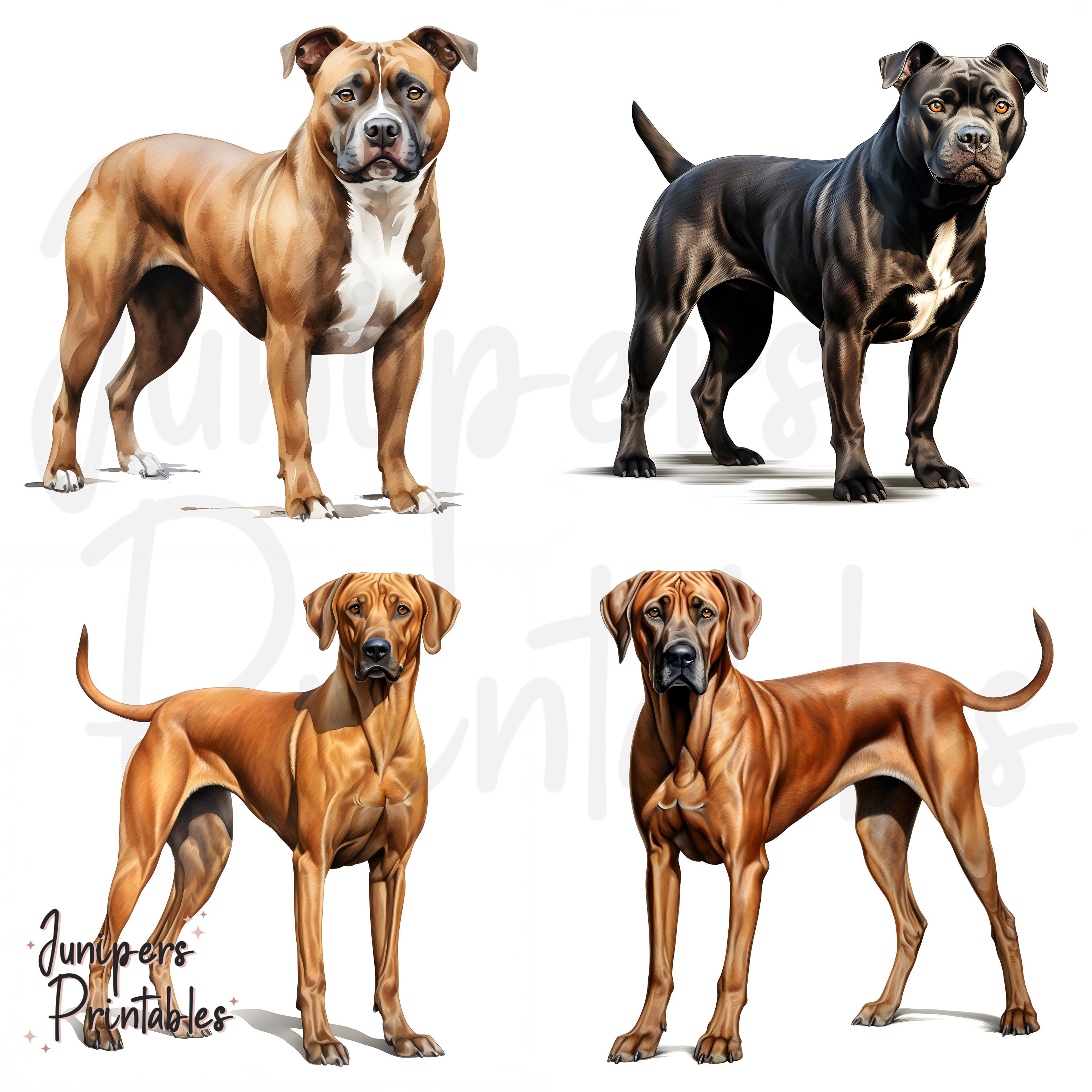 Watercolor Dog Breeds Vol. 3 Clipart Bundle 20 High Quality - Etsy