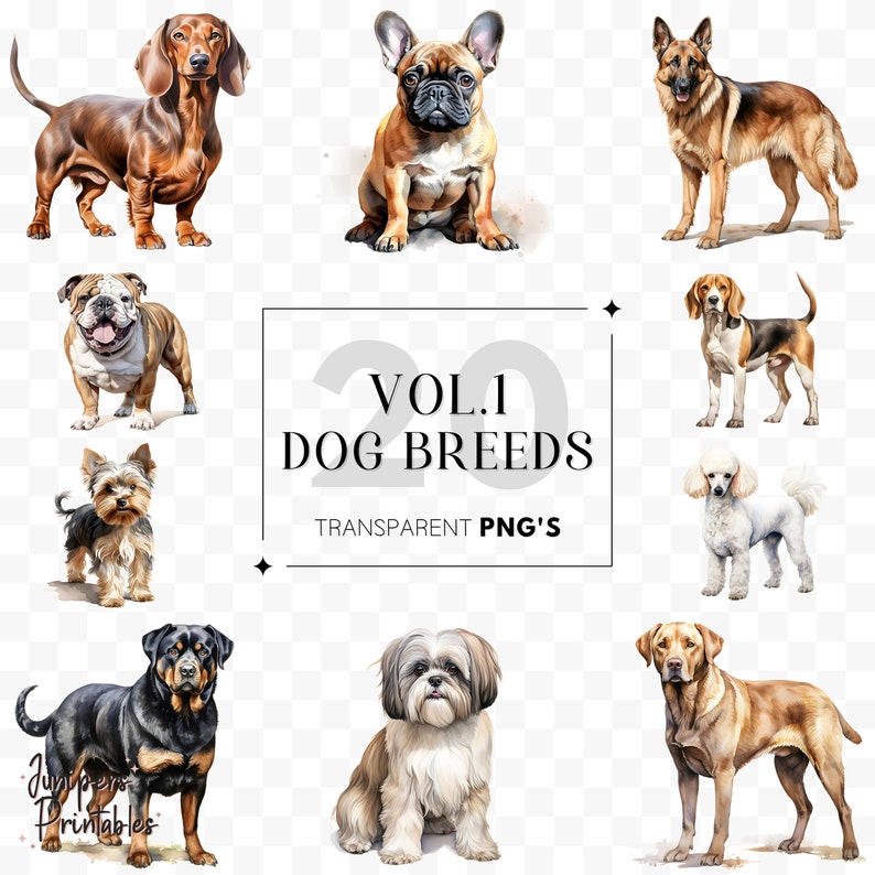 Watercolor Dog Breeds Vol. 1 Clipart Bundle 20 High Quality - Etsy
