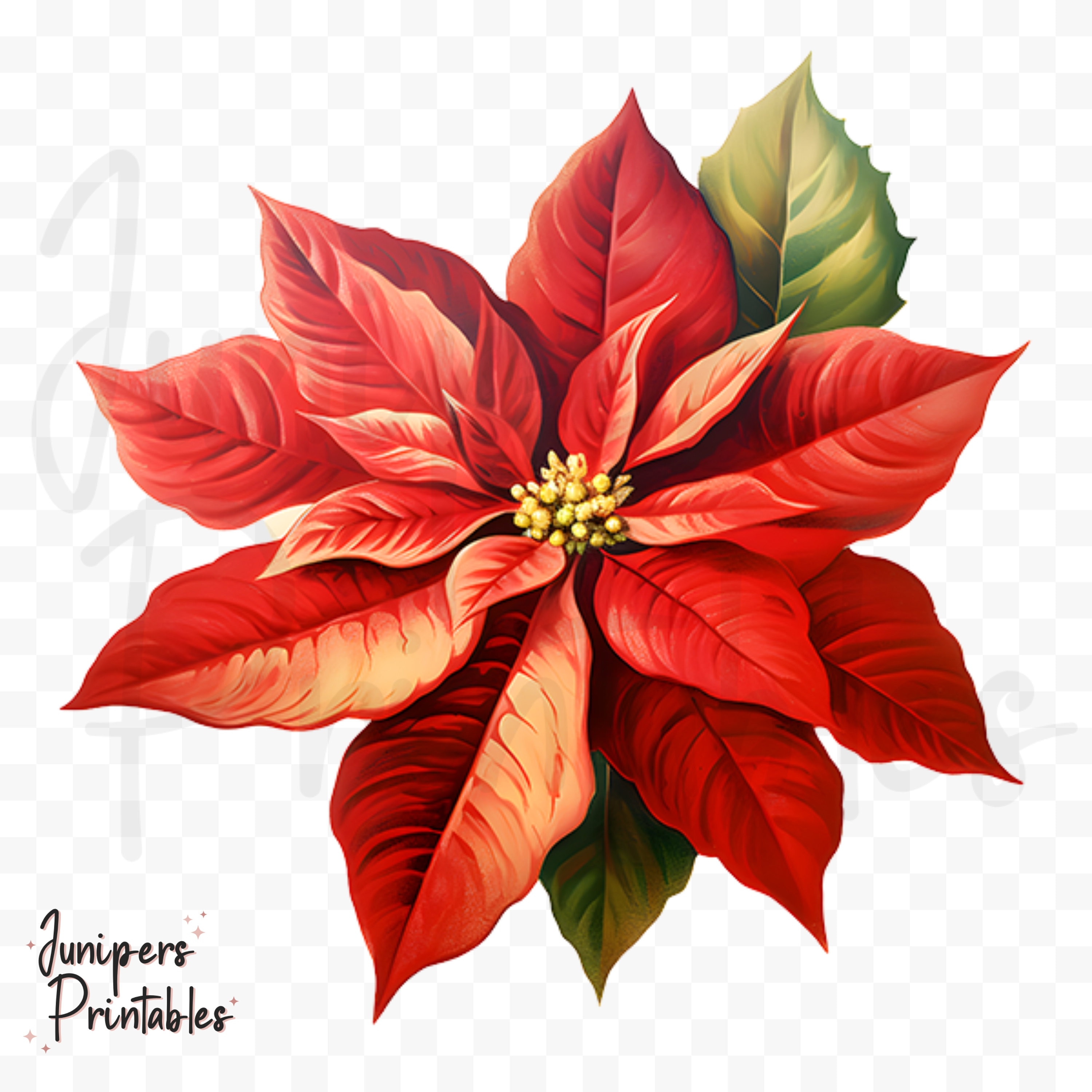 21 Christmas Poinsettia Clipart, High Quality PNG, Digital Download Card Making, Digital Paper ...