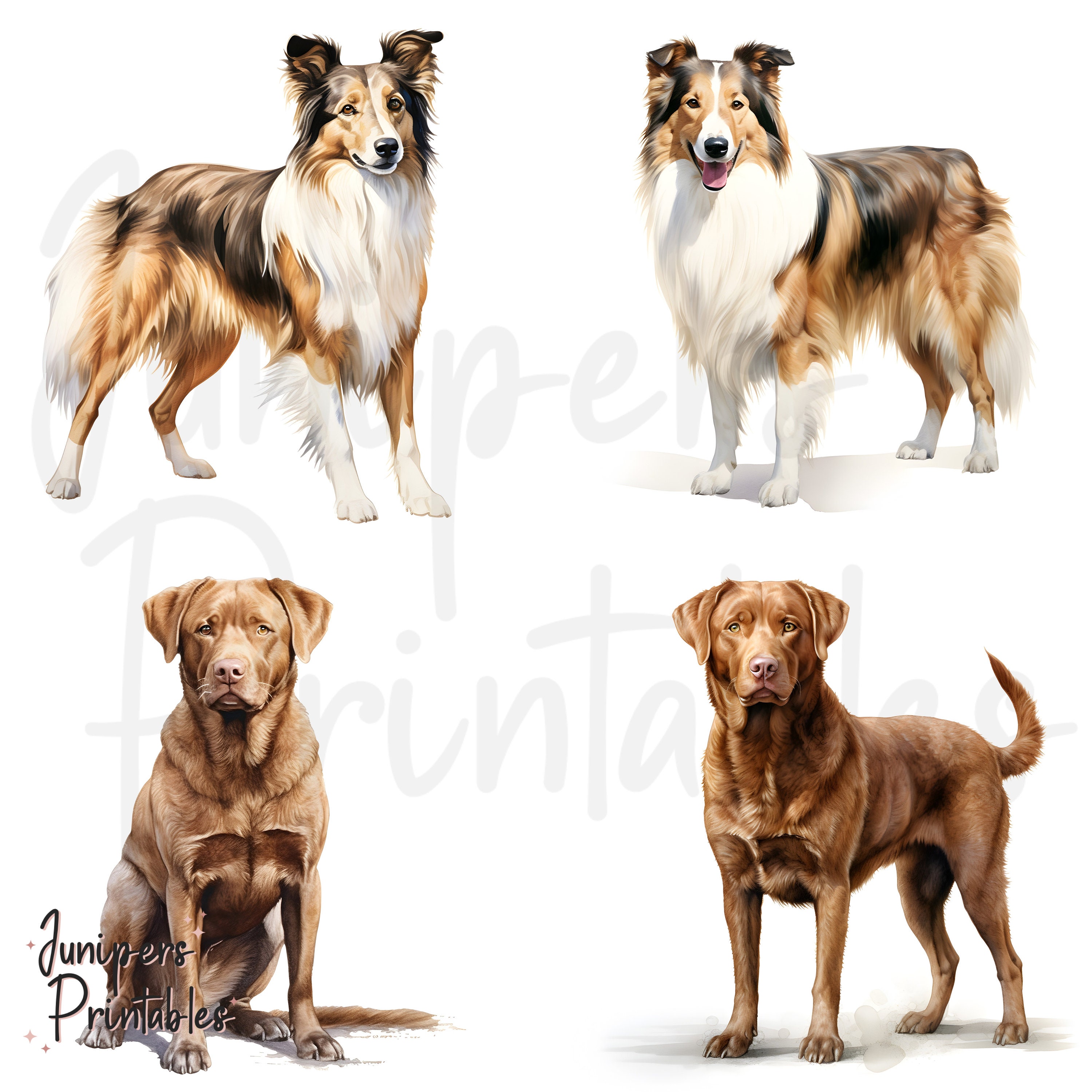 Watercolor Dog Breeds Vol. 4 Clipart Bundle, 20 High Quality Jpgs ...