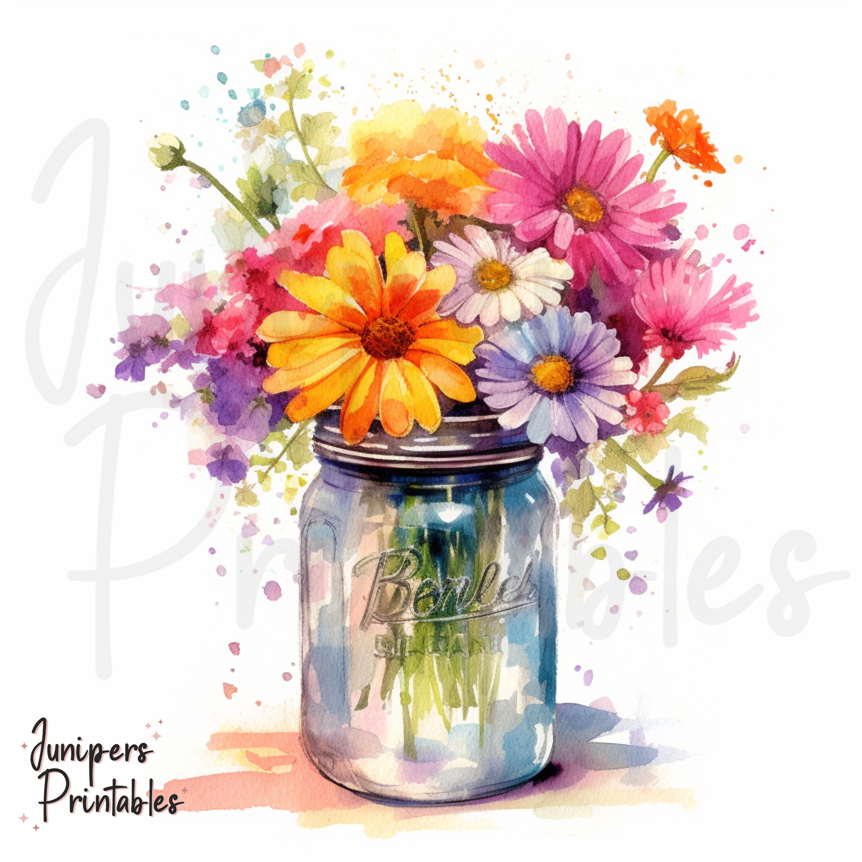 Vase of Colorful Flowers Clipart 12 High Quality Jpgs Vivid Mixed ...