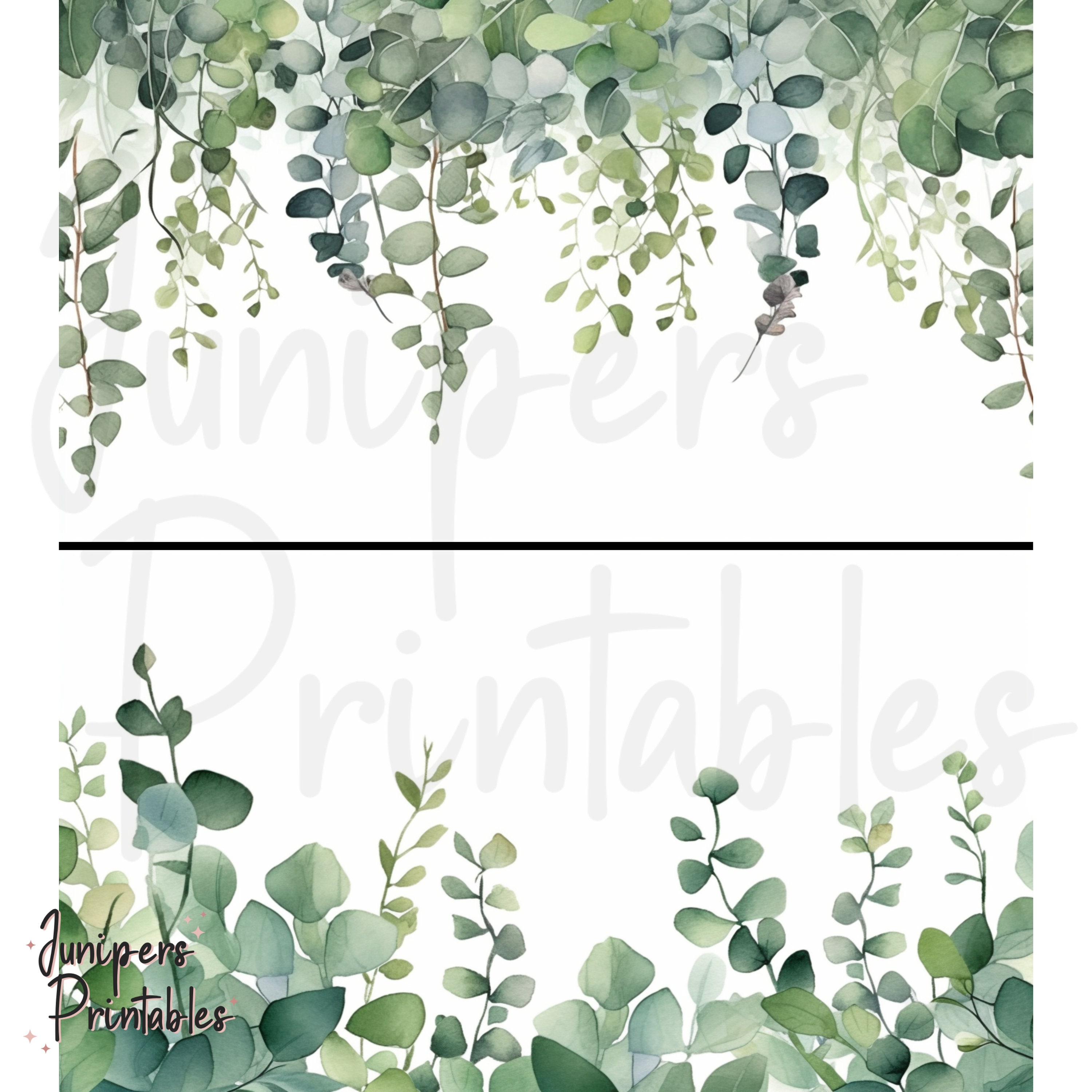 Eucalyptus Borders Clipart - 12 High Quality Jpgs - Wedding Invitation ...