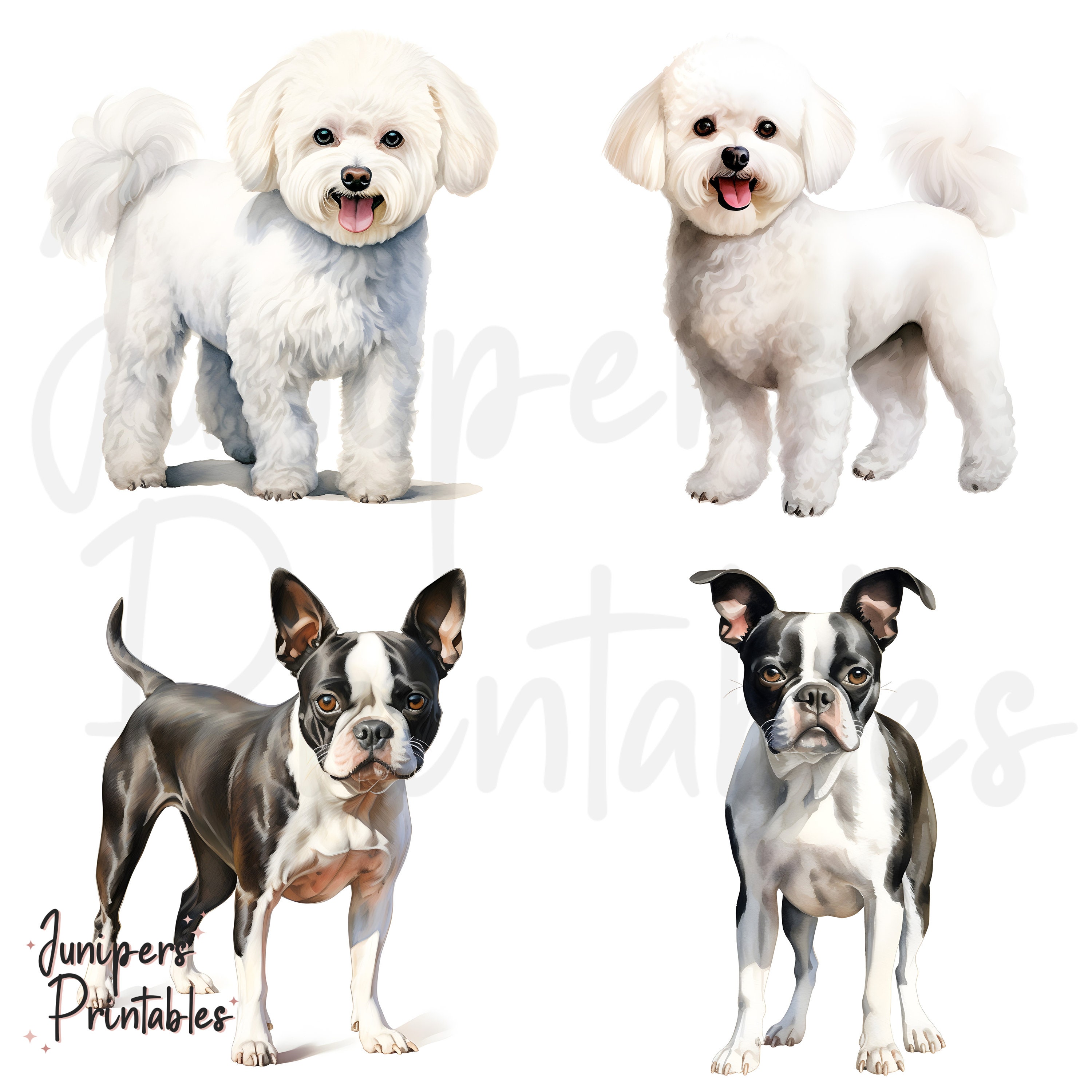 Watercolor Dog Breeds Vol. 3 Clipart Bundle 20 High Quality - Etsy