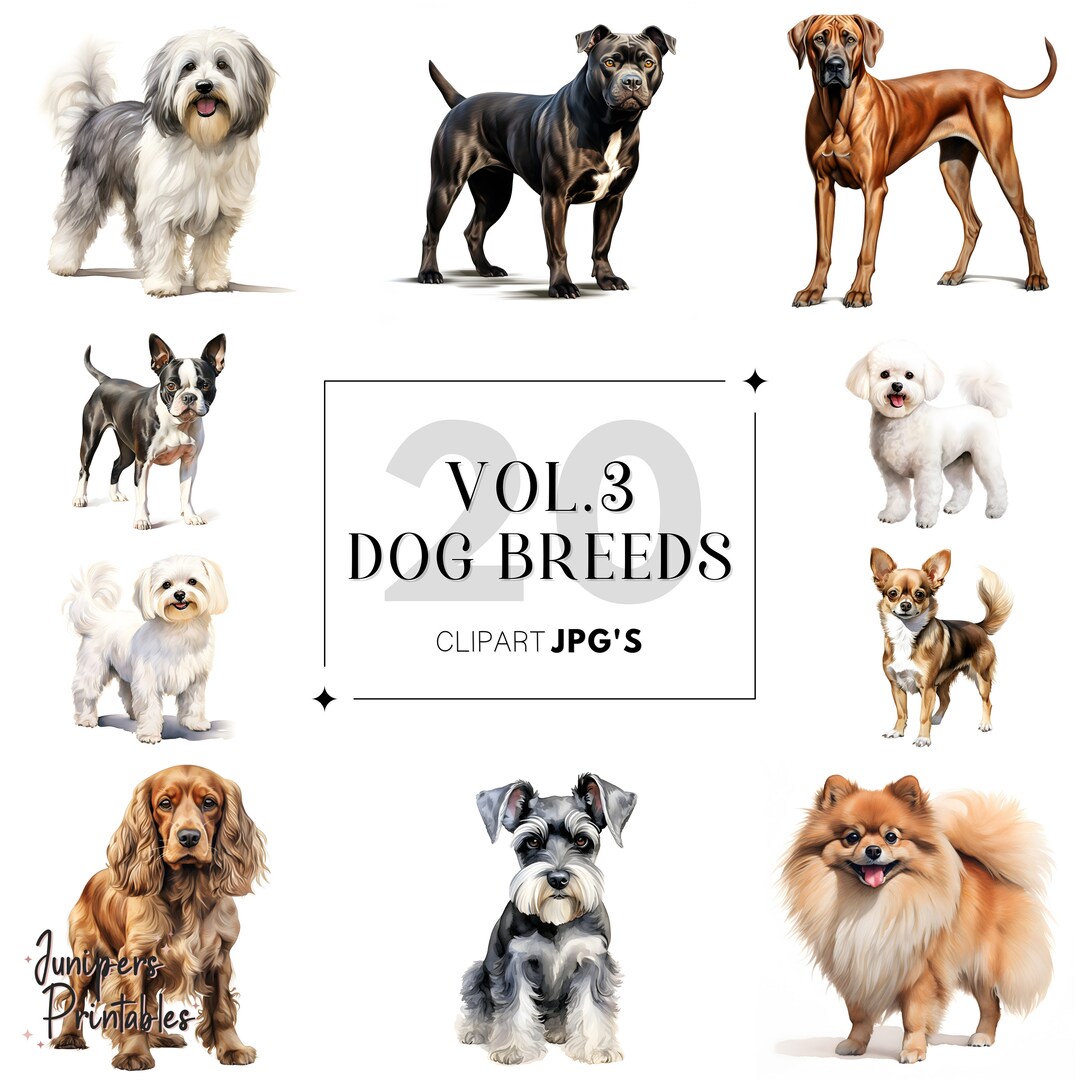 Watercolor Dog Breeds Vol. 3 Clipart Bundle, 20 High Quality Jpgs ...