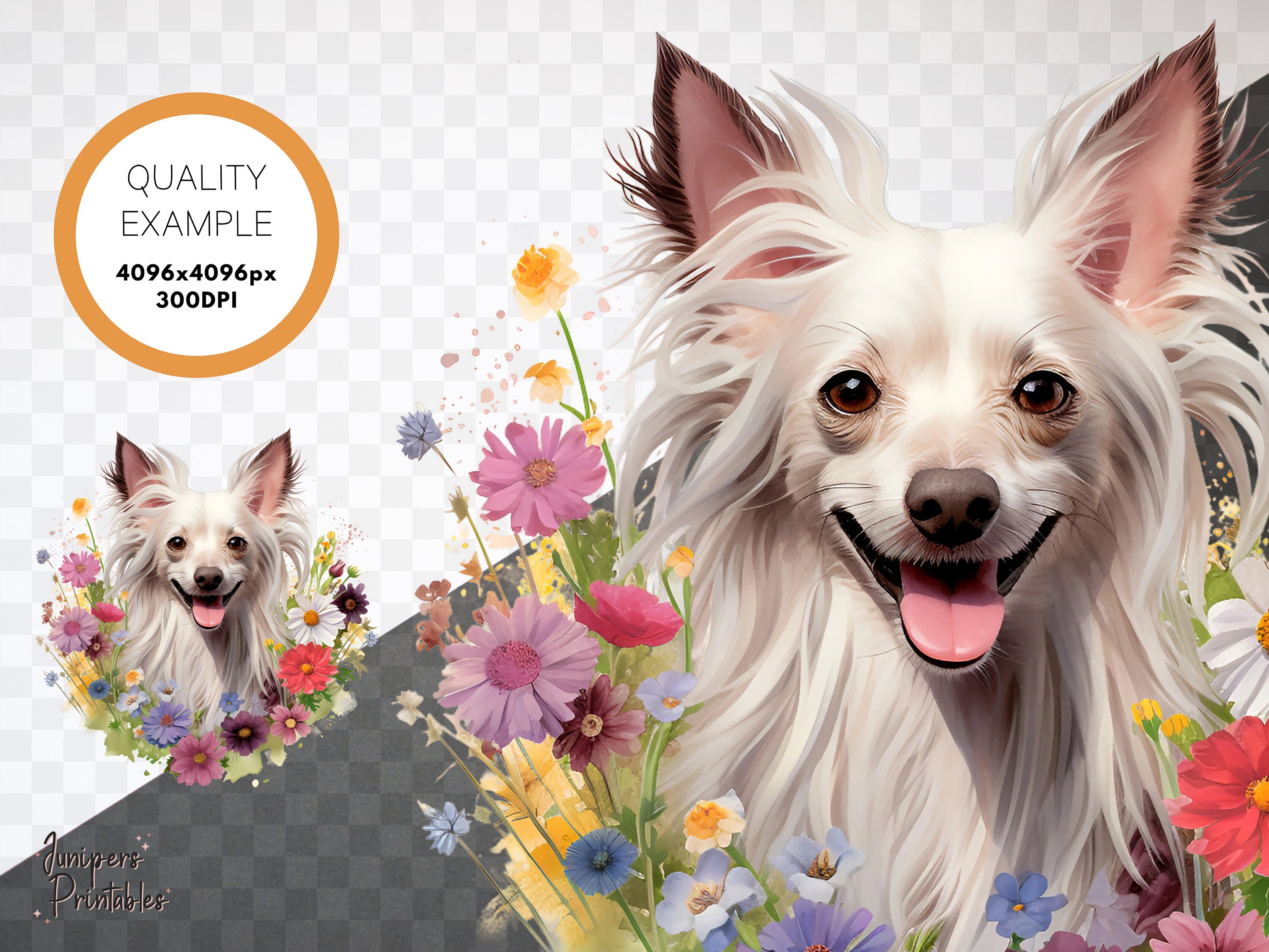 100 Watercolor Dog Breeds With Flowers MEGA BUNDLE High Quality PNG 300 ...