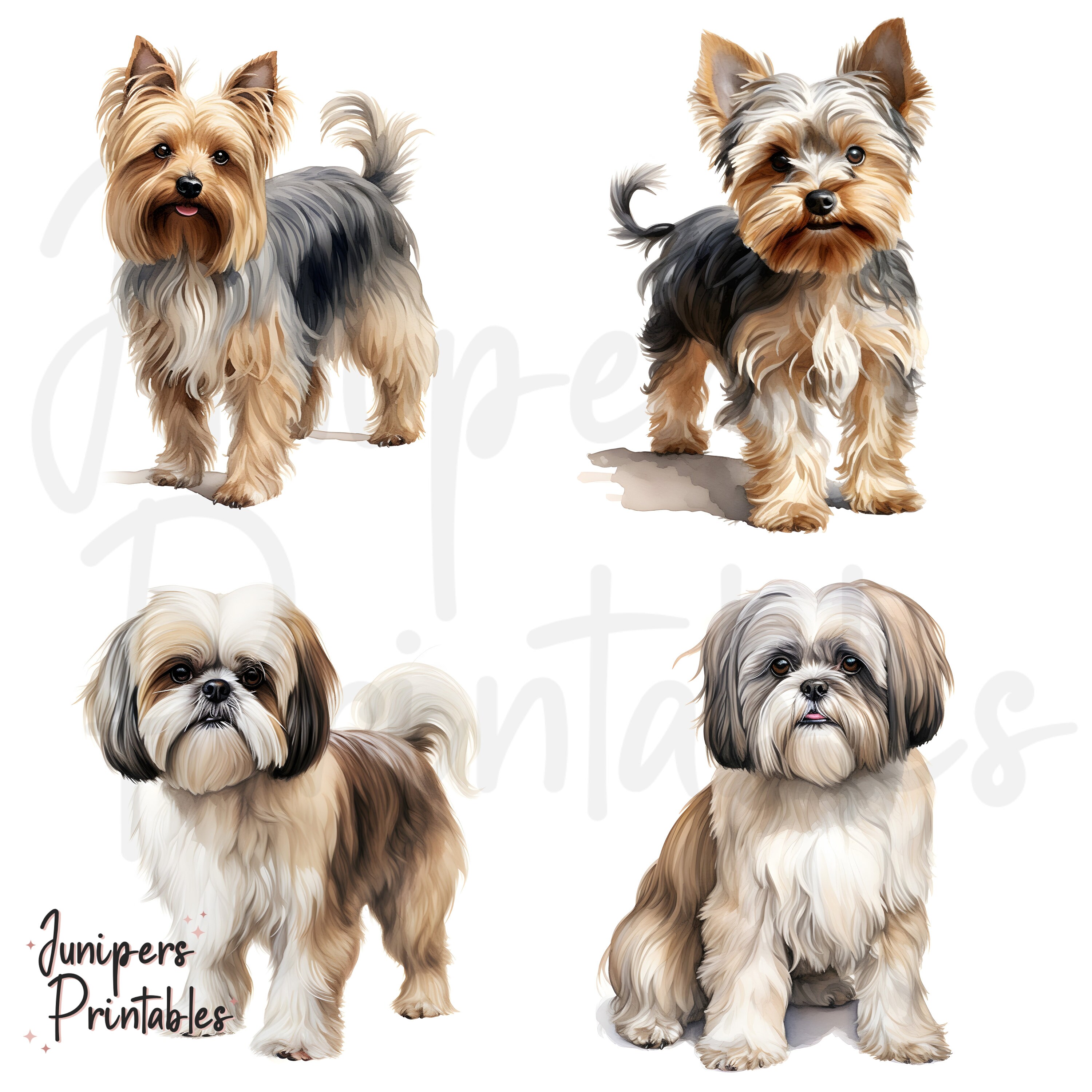 Watercolor Dog Breeds Vol. 1 Clipart Bundle, 20 High Quality Jpgs ...