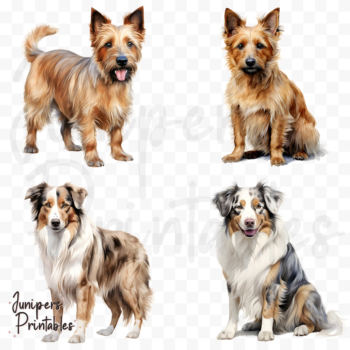 Watercolor Dog Breeds Vol. 2 Clipart Bundle, 20 High Quality PNG ...