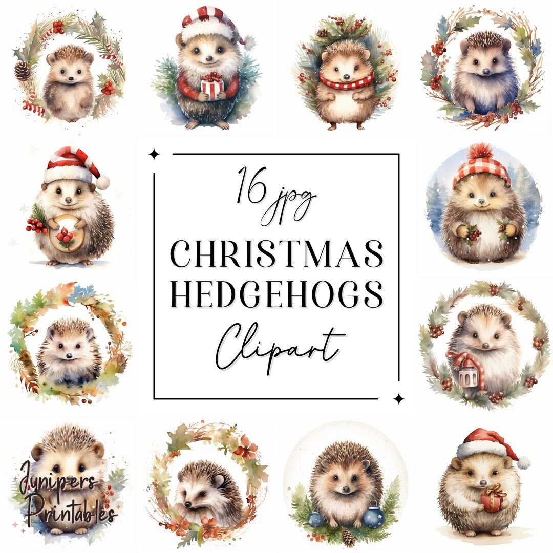 16 Christmas Hedgehog Clipart, High Quality Jpgs, Digital Download Card ...
