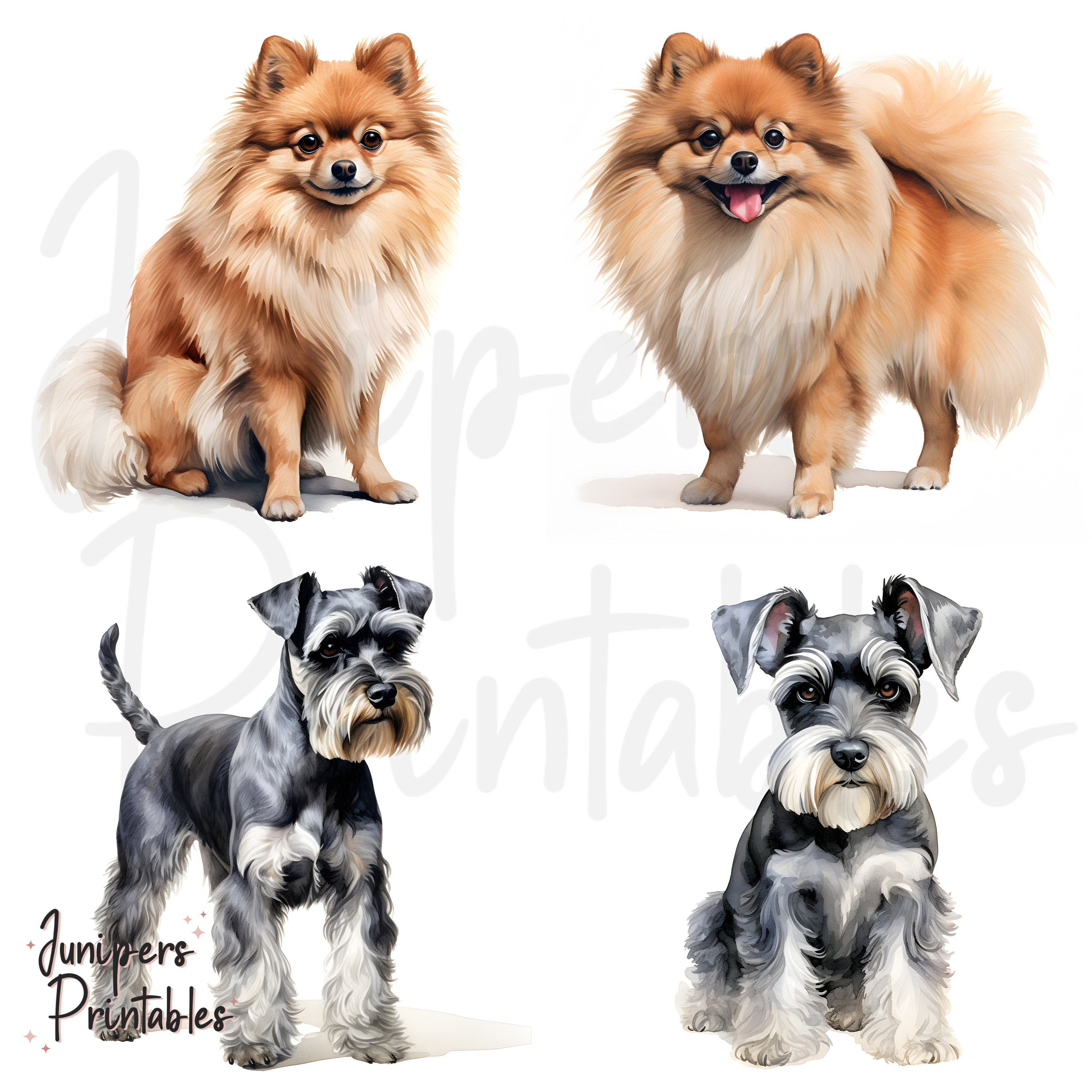 Watercolor Dog Breeds Vol. 3 Clipart Bundle 20 High Quality - Etsy