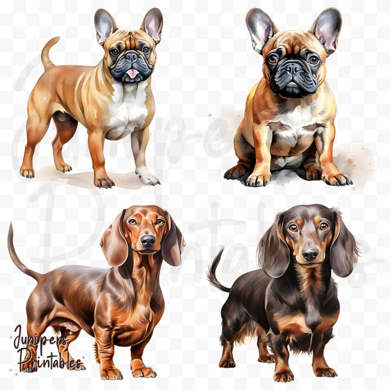 Watercolor Dog Breeds Vol. 1 Clipart Bundle, 20 High Quality PNG ...