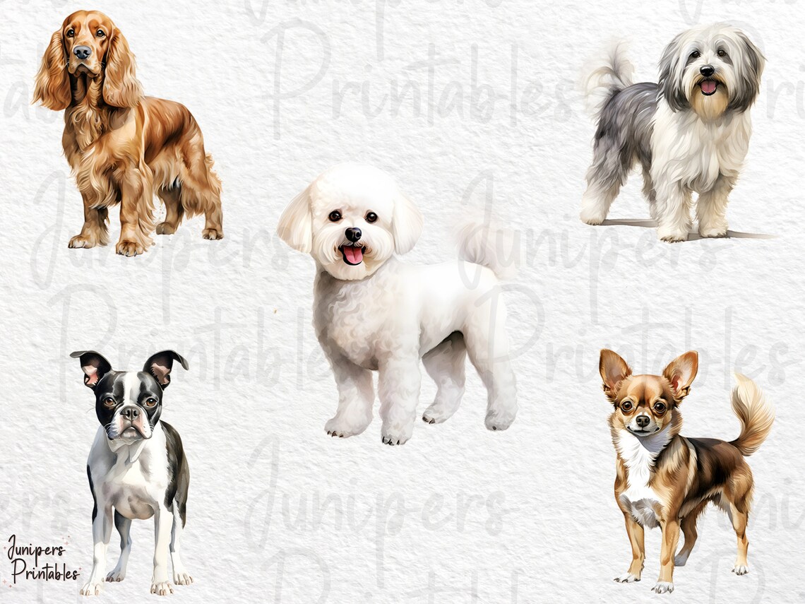 Watercolor Dog Breeds Vol. 3 Clipart Bundle, 20 High Quality PNG ...