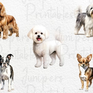 Watercolor Dog Breeds Vol. 3 Clipart Bundle, 20 High Quality PNG ...