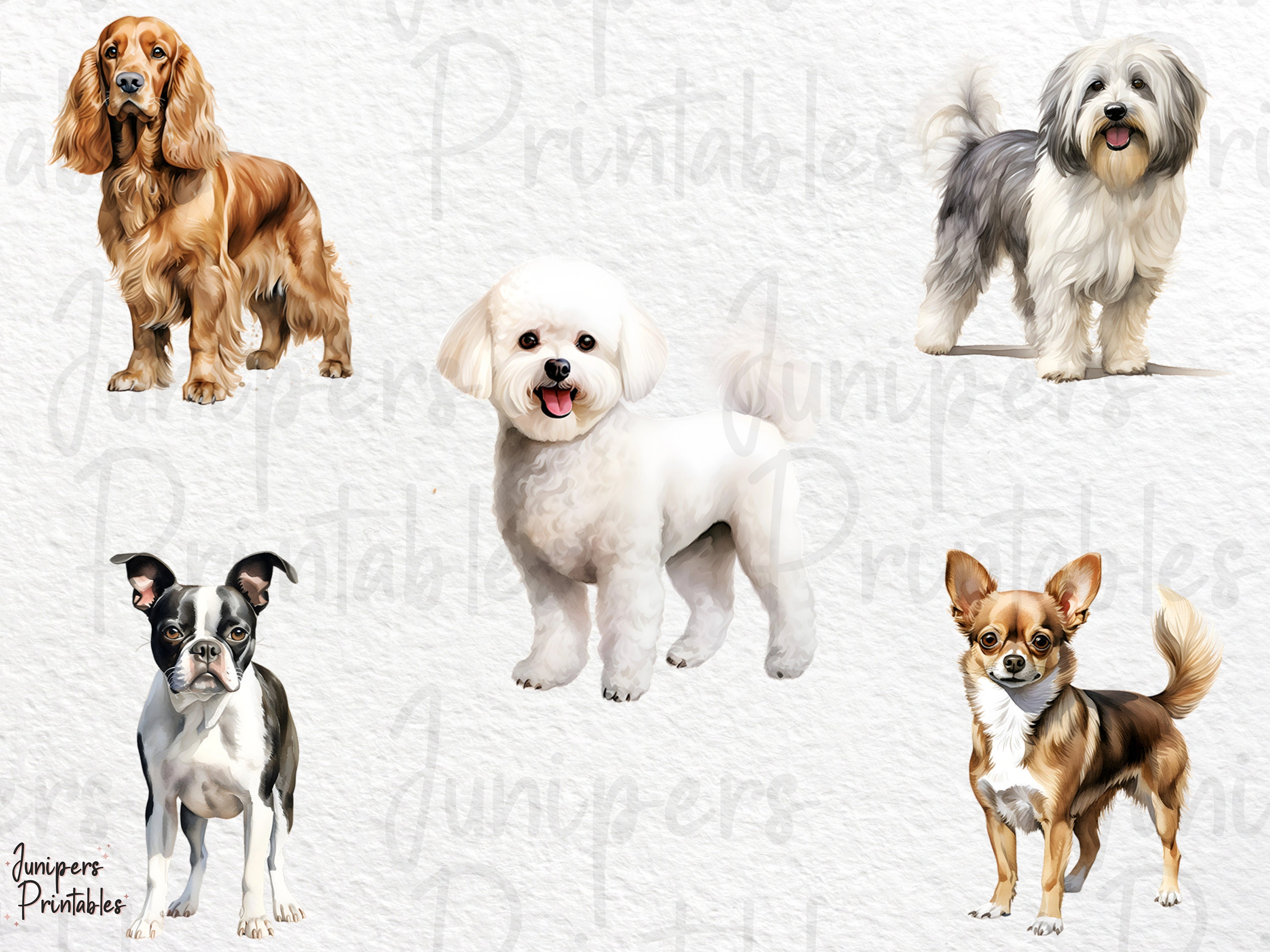 Watercolor Dog Breeds Vol. 3 Clipart Bundle, 20 High Quality PNG ...