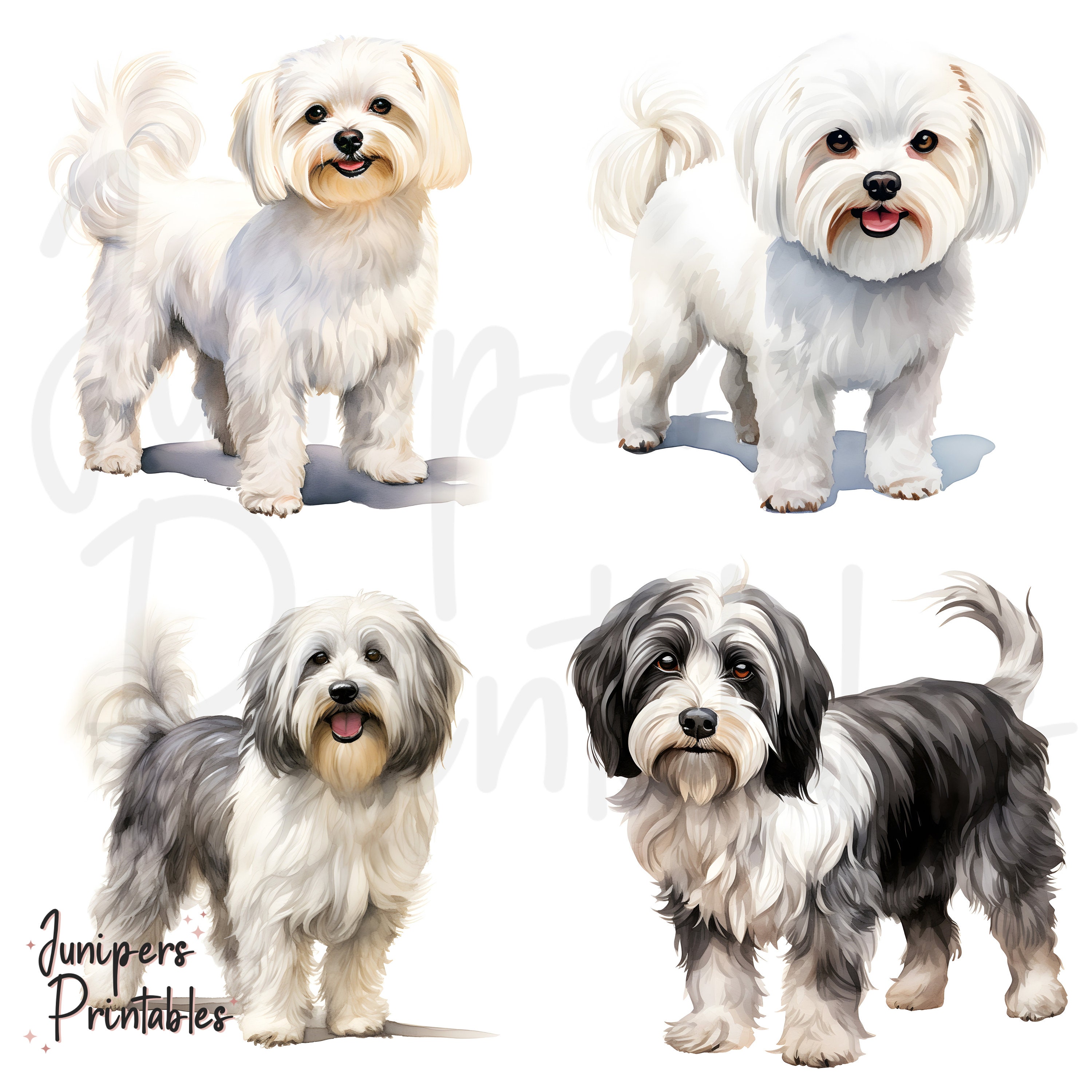 Watercolor Dog Breeds Vol. 3 Clipart Bundle 20 High Quality - Etsy